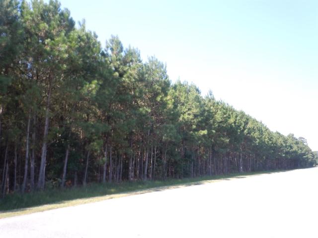 TBD Near 10547 Andrew Jackson Hwy