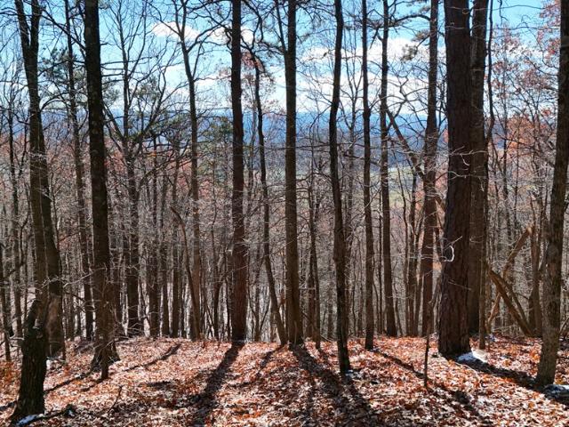 TBD Nebo Mountain Rd