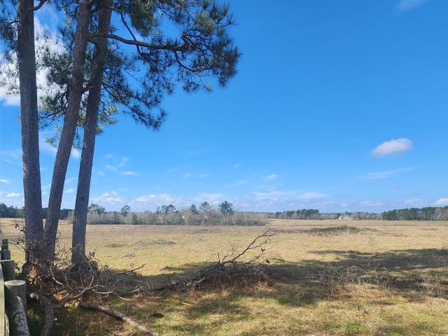 Tbd Nelson Rd, Livingston, TX 77351 | MLS #17508