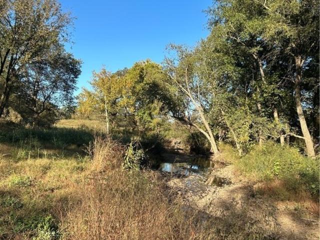 TBD S 217 Highway