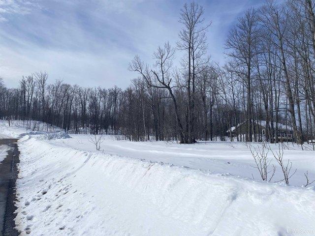 Tbd S Whealkate Dr Lot 28, South Range, MI 49963
