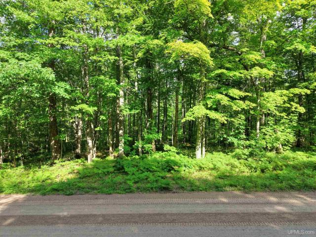 TBD S Laird Road