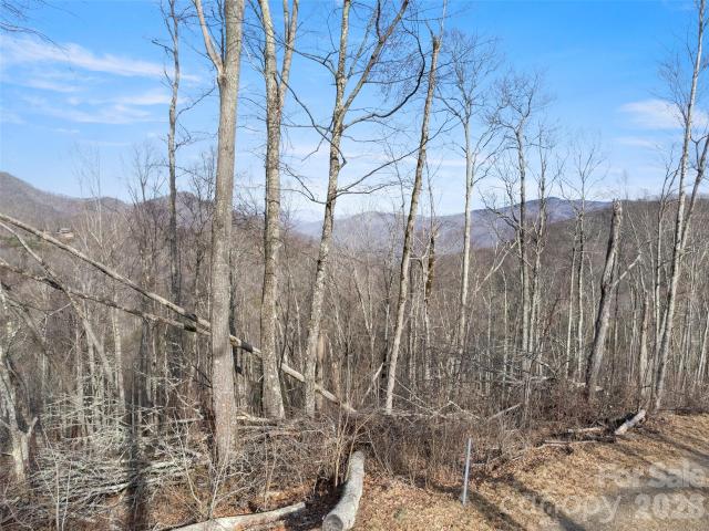 TBD S Ridge Runner Road