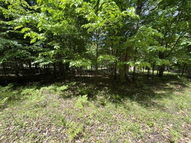 Tbd S Socia Sub Dr, Drummond Island, MI 49726