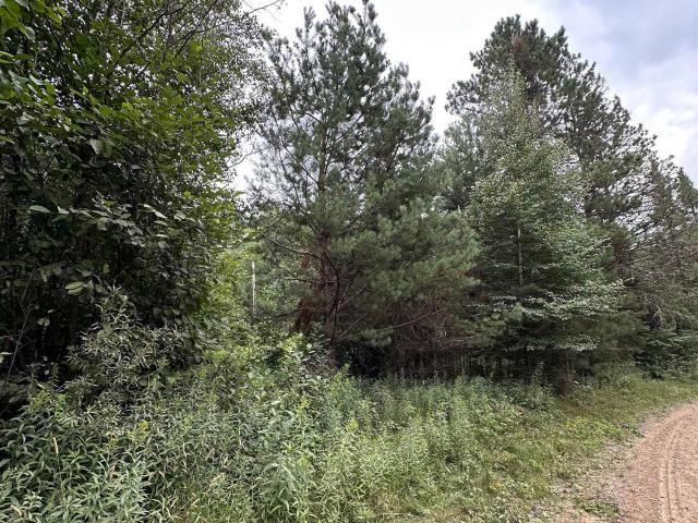 TBD Smokey Lake Road