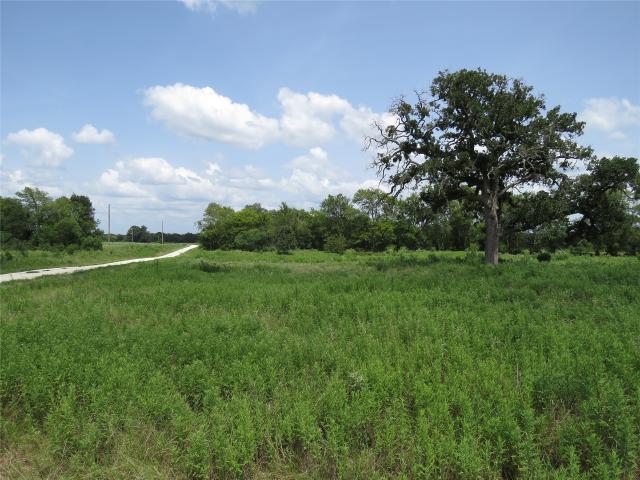 TBD Southfield Ct