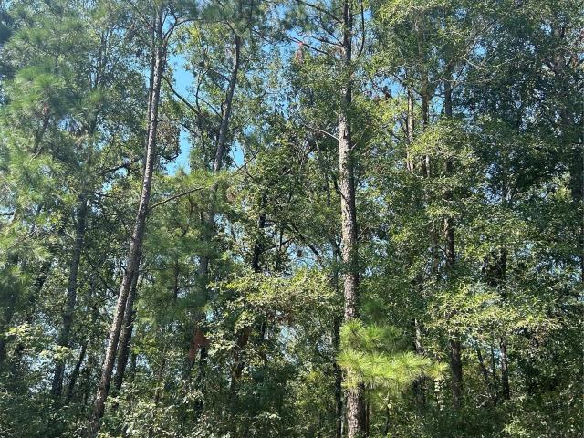 Tbd Southland Cir, Livingston, TX 77351 | MLS #3664