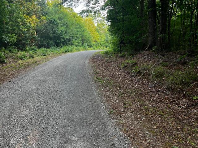 Tbd Soney Lane