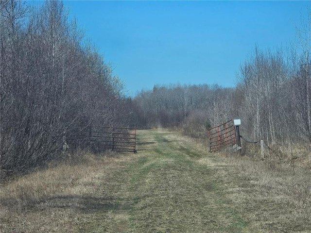 Tbd Savanna Road / Tbd Savanna Rd # 210, Floodwood, MN 55736