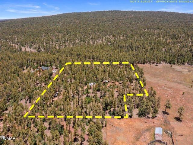 TBD Sawmill Drive