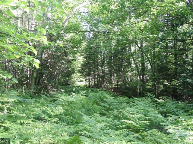 TBD Sawmill Road