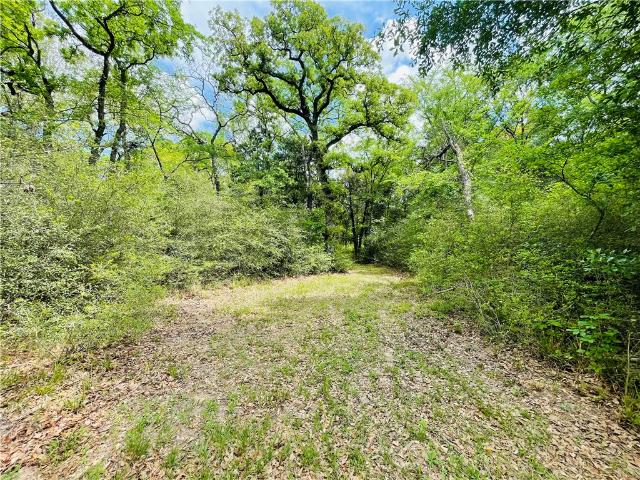 TBD Sawmill Road