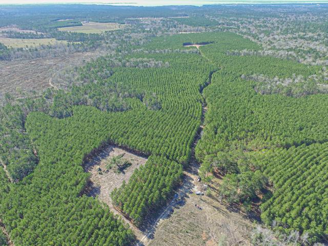 Tbd Sandydale Ln, Livingston, TX 77351 | MLS #16564