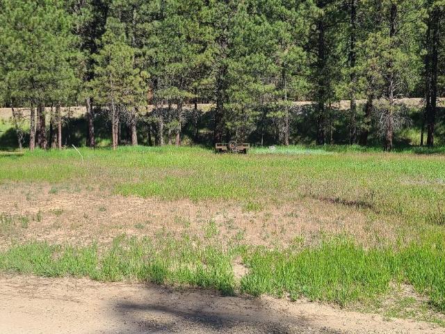 TBD Scenic View Dr