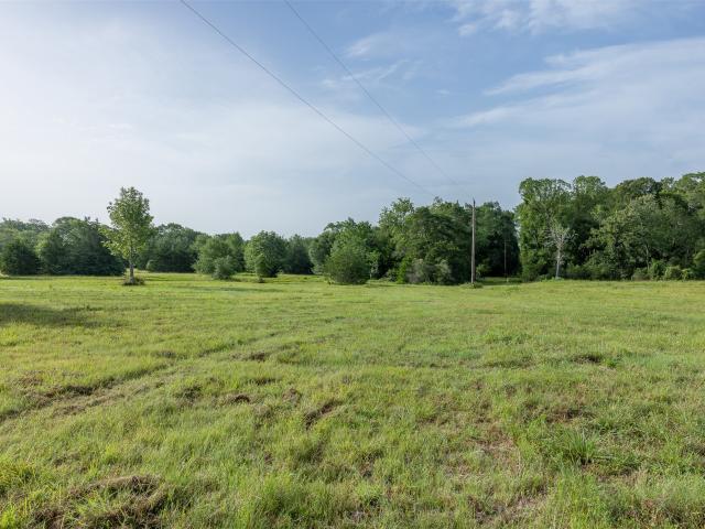 TBD Schoenst Road