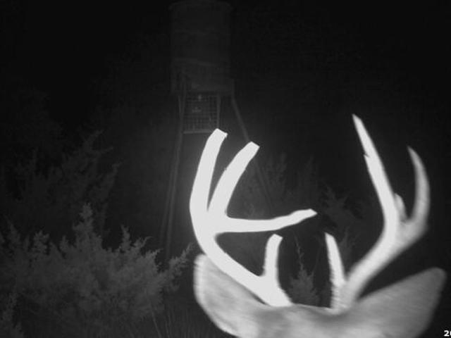 TBD Sd 45425