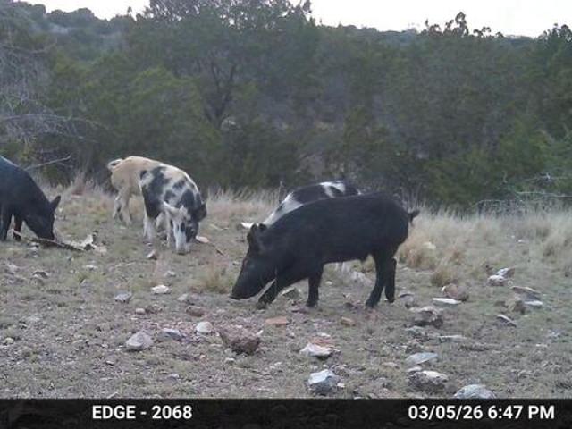 TBD Sd 45730