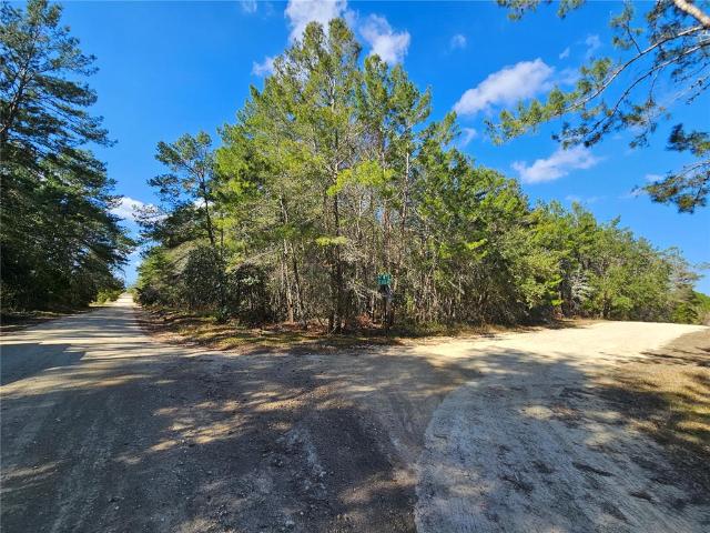 Tbd SE 8th St, Williston, FL 32696 | MLS #OM715541