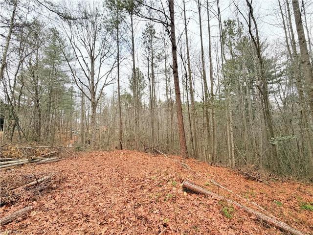 TBD Shumate Mountain Road