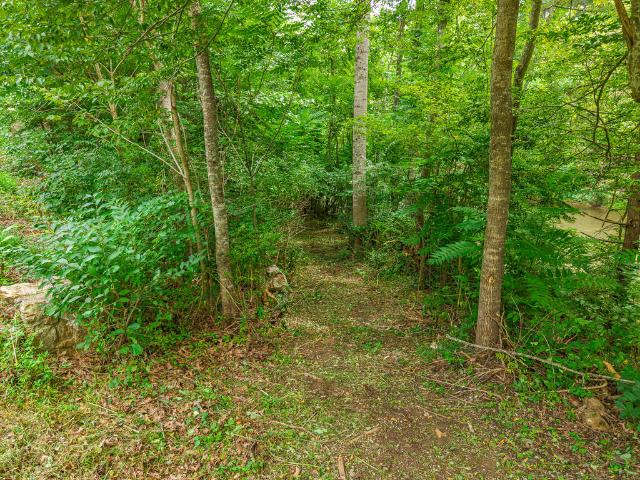 TBD Shady Branch Cir