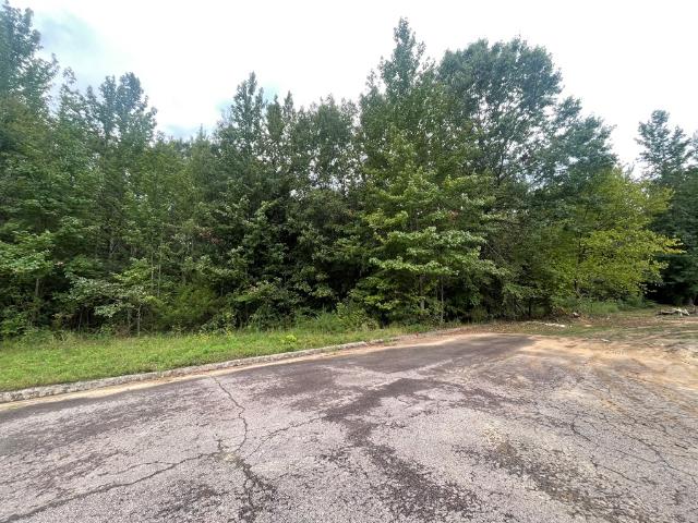 Tbd shady grove road