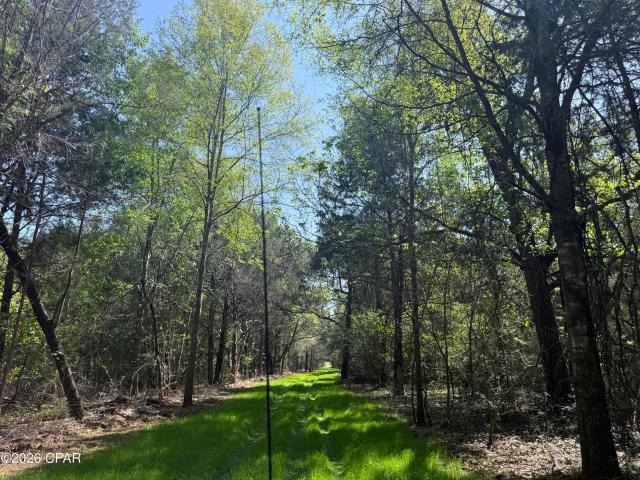 Tbd Sheffield Dr, Marianna, FL 32446 | MLS #787500
