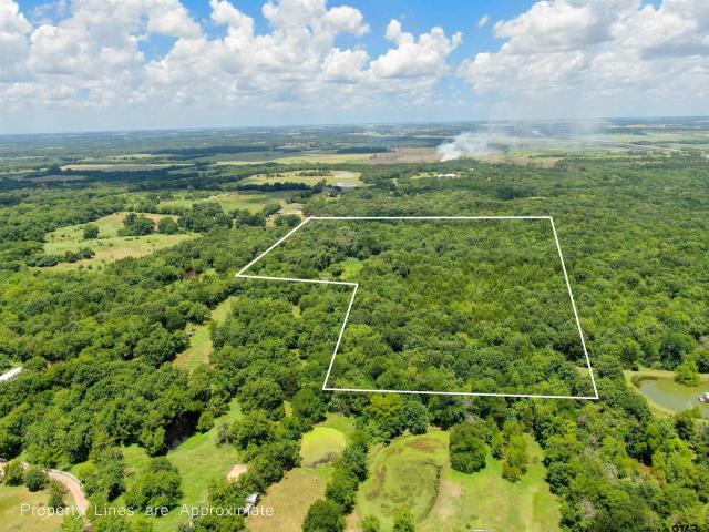 Tbd Shelby Ln, Ladonia, TX 75449 | MLS #26000