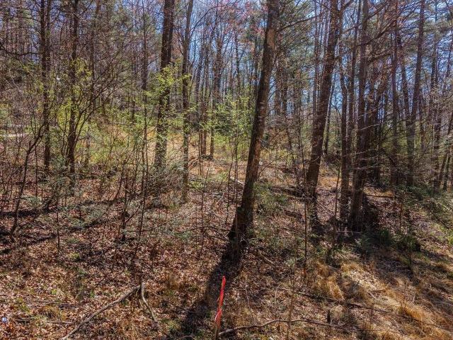 Tbd Shell Hollow Ln, Dayton, VA 22821 | MLS #675500