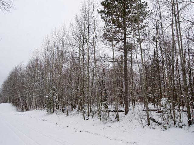 TBD Sheridan Woods Lane NE