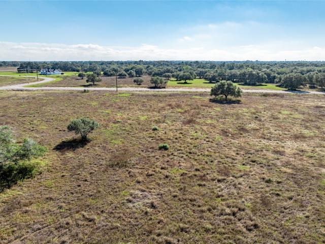 Tbd shorebird lane