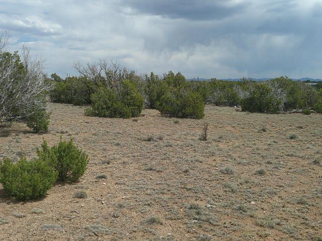 TBD Show Low Pines Lot 189