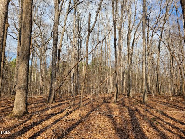 Tbd Siler City Snow Camp Rd, Siler City, NC 27344 | MLS #10075