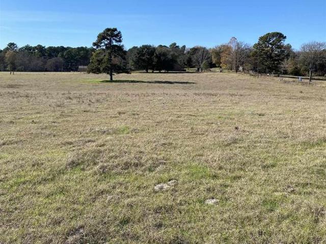 TBD Silk Tree Rd Lot 1, Gilmer, TX 75645