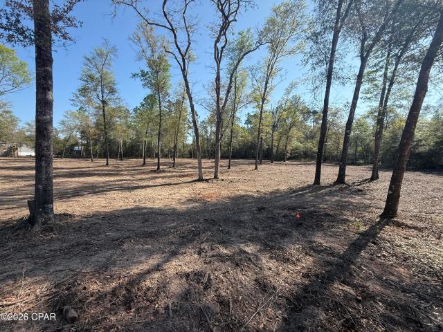 Tbd Silver Lake N, Marianna, FL 32448 | MLS #787440