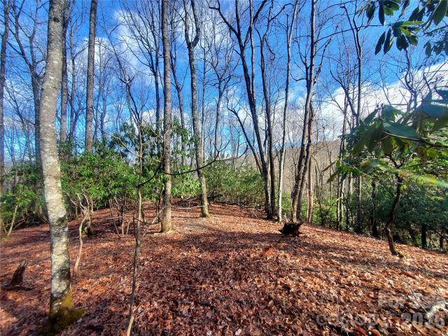 TBD Skye Drive # 803a & 803b
