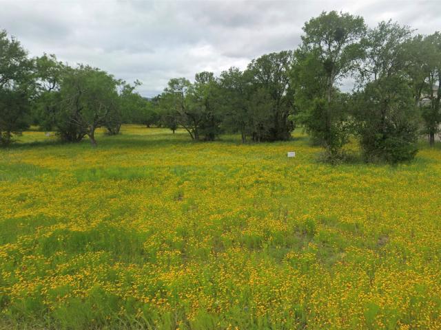 Tbd Skyline Dr, Kingsland, TX 78639 | MLS #6759