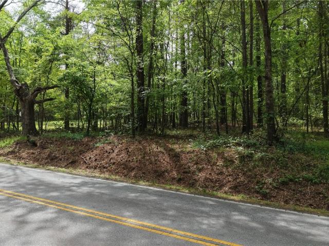 TBD Slab Bridge Road