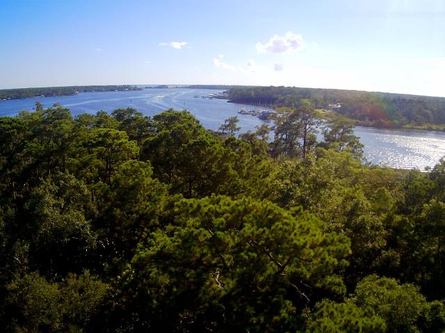 Tbd Sparkleberry Ln, Freeport, FL 32439 | MLS #981981