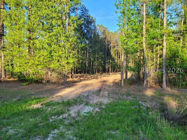 Tbd Speedway Blvd, Hardeeville, SC 29927 | MLS #507563