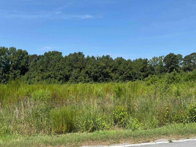 TBD Spring Branch Rd