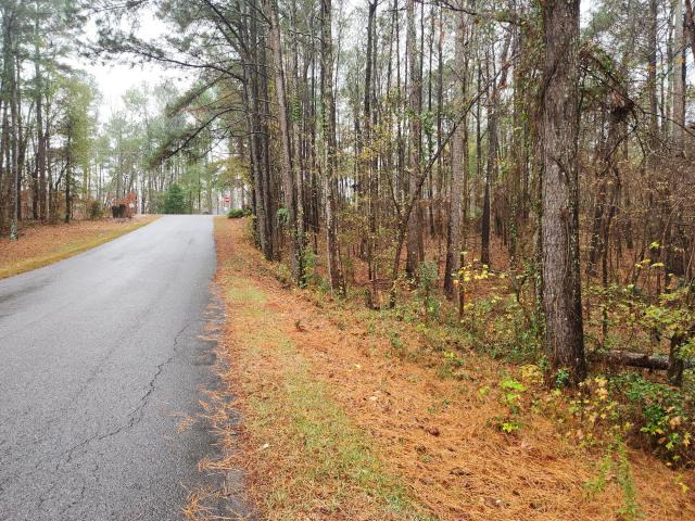 Tbd Spring Haven Drive