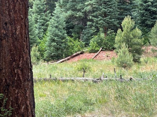 Tbd spruce trail lot 2