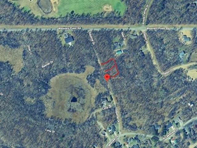 Tbd Squirrel Dr Lots 173 & 174, Breezy Point, MN 56472