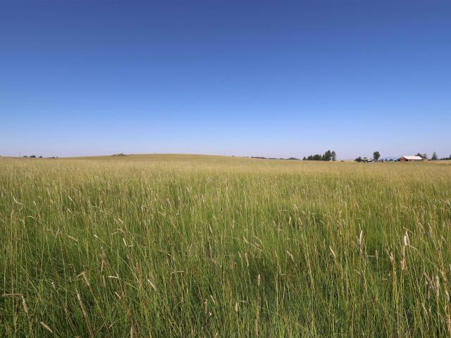 TBD Stuart Road, Parcel A