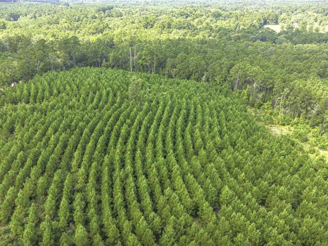 TBD Stutts Hill Rd