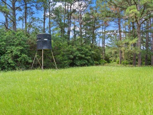 Tbd St Delight Rd, Paige, TX 78659