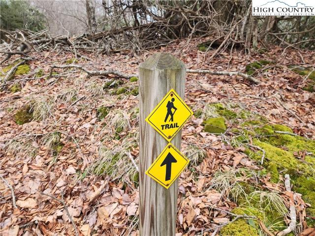 TBD Staghorn Hollow