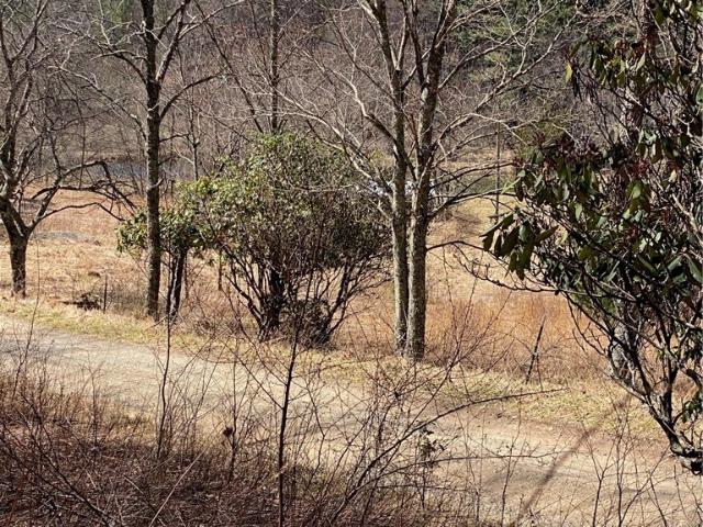 TBD Starmount Lane