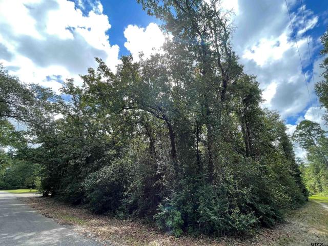 Tbd Starleaf Ln, Holly Lake Ranch, TX 75765 | MLS #24012