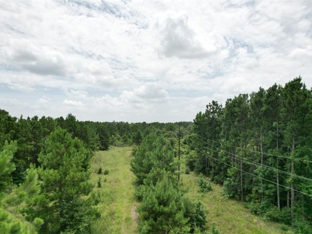 Tbd state highway 242